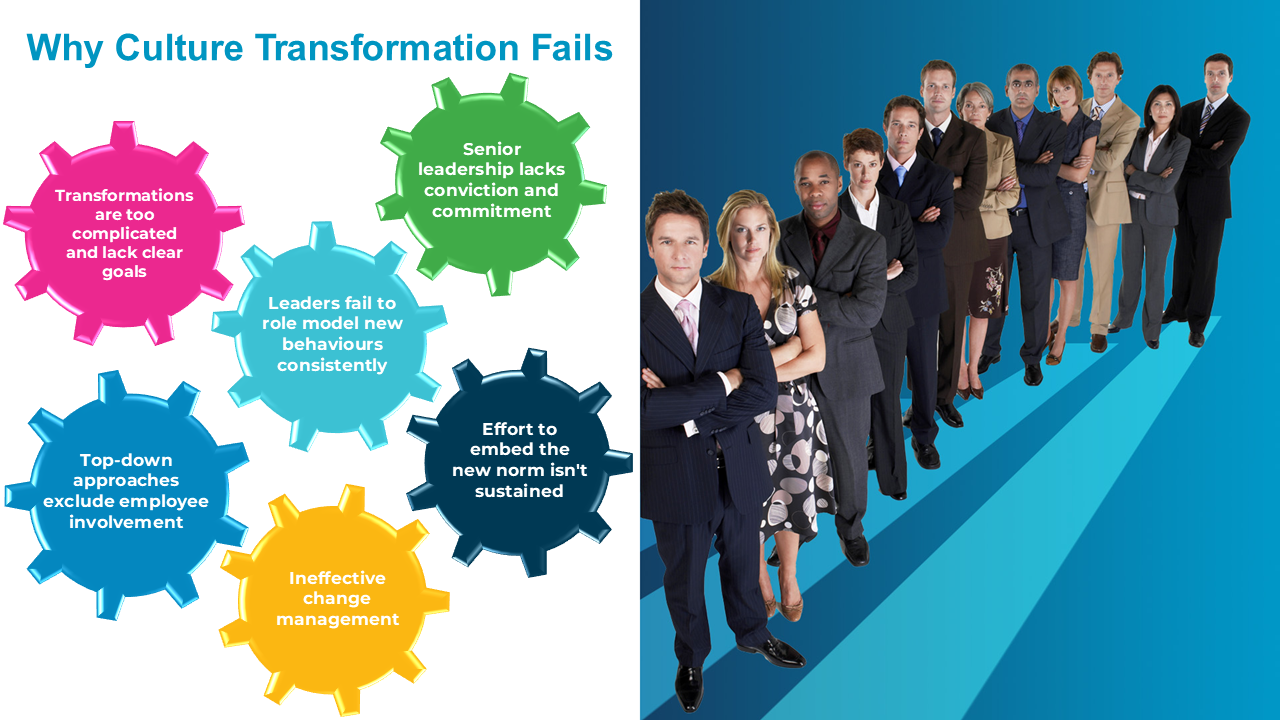 Transformational Culture vs Cultural Transformation